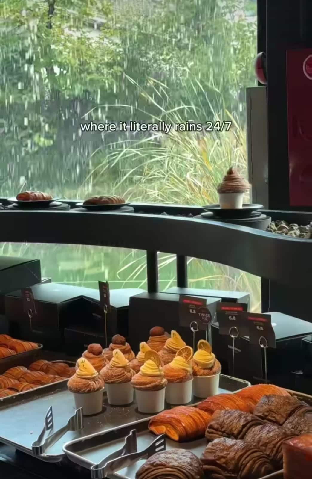Rain Themed Cafe | Know All About Rain Themed Cafe at NDTV Food