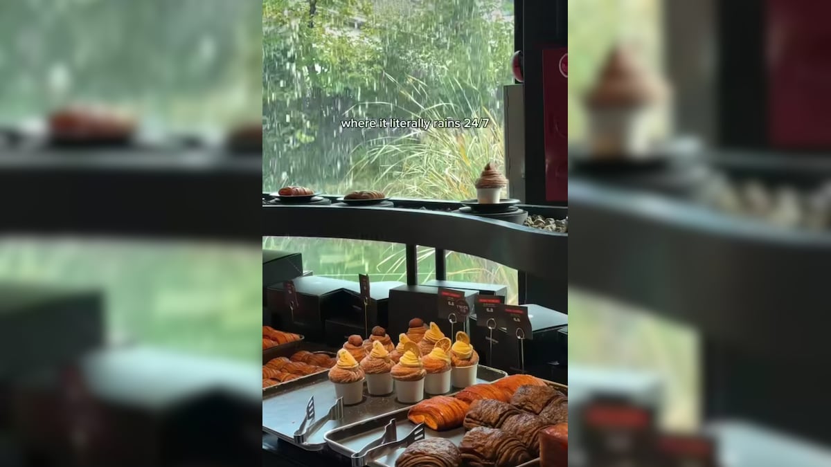 Watch: Rain-Themed Cafe In South Korea Goes Viral. Internet Says, "So ...