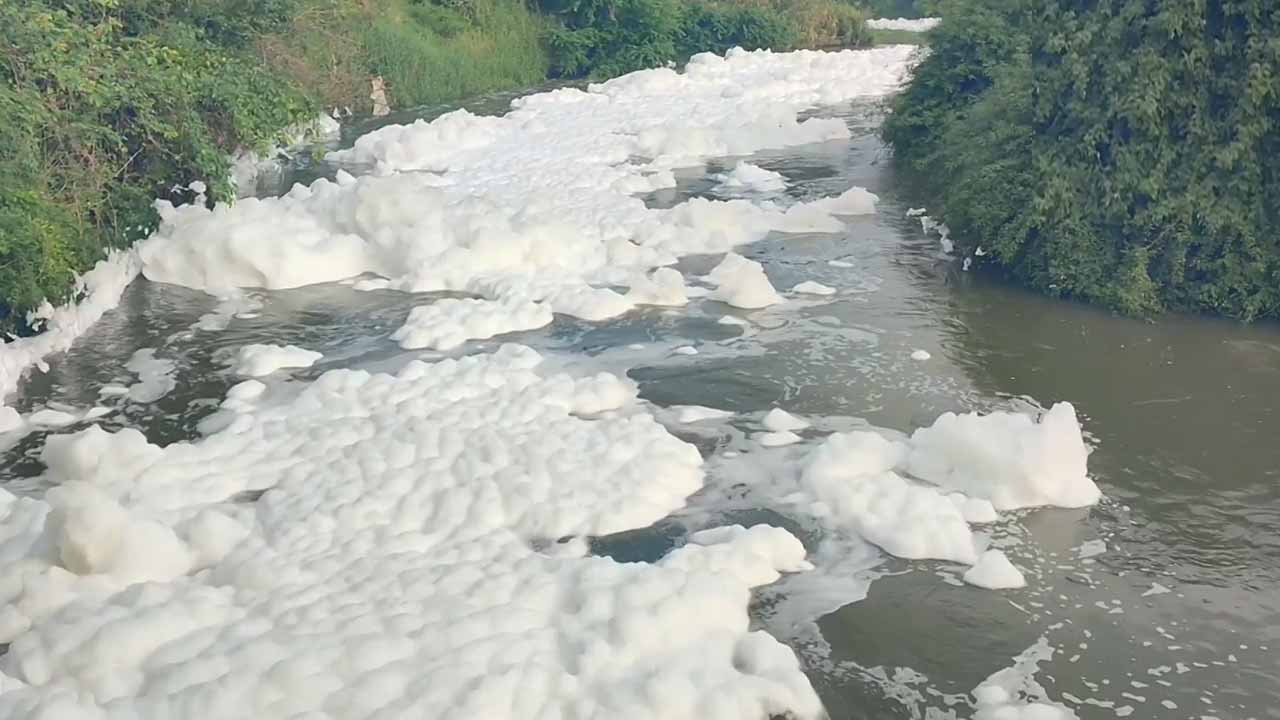 Sea Of Toxic Foam In Tamil Nadu's Hosur After Dam Discharges Surplus Water