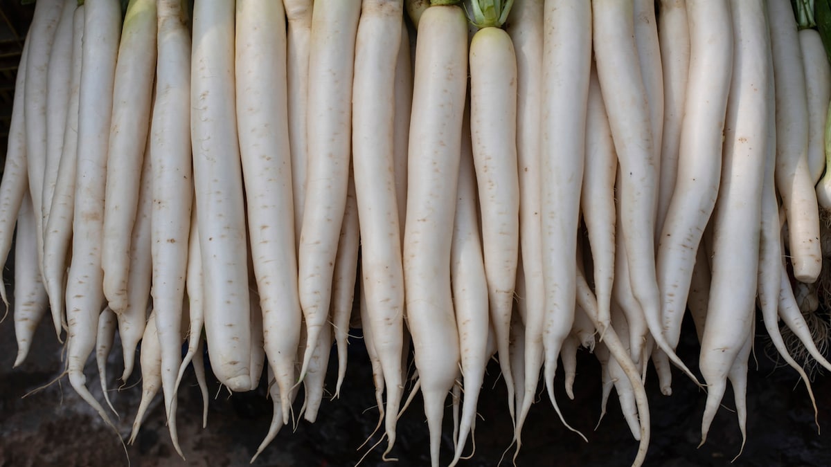 How to Enjoy Mooli In Winter Without Gas And Bloating - NDTV Food