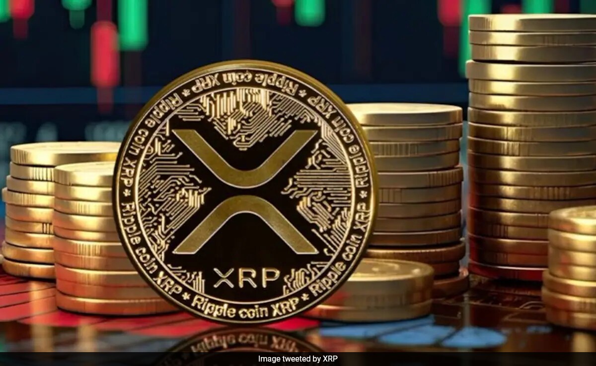 XRP XRP Statistics Alternative Data 2025 XRP XRP Statistics Alternative Data 2025
