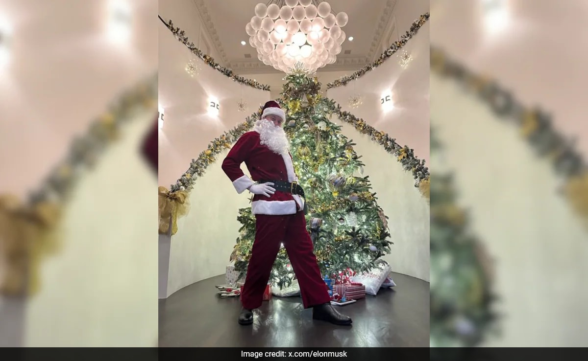 "Ozempic Santa": Elon Musk's Picture In Santa Claus Costume On Christmas