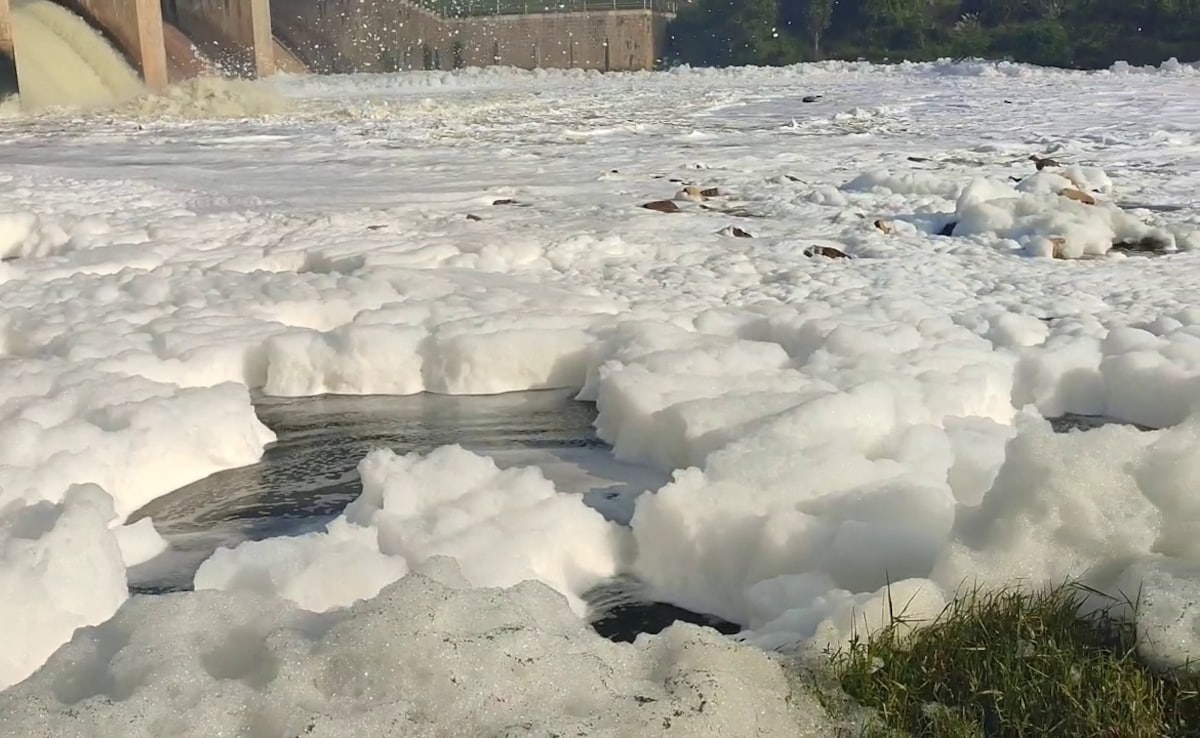 Sea Of Toxic Foam In Tamil Nadu's Hosur After Dam Discharges Surplus Water