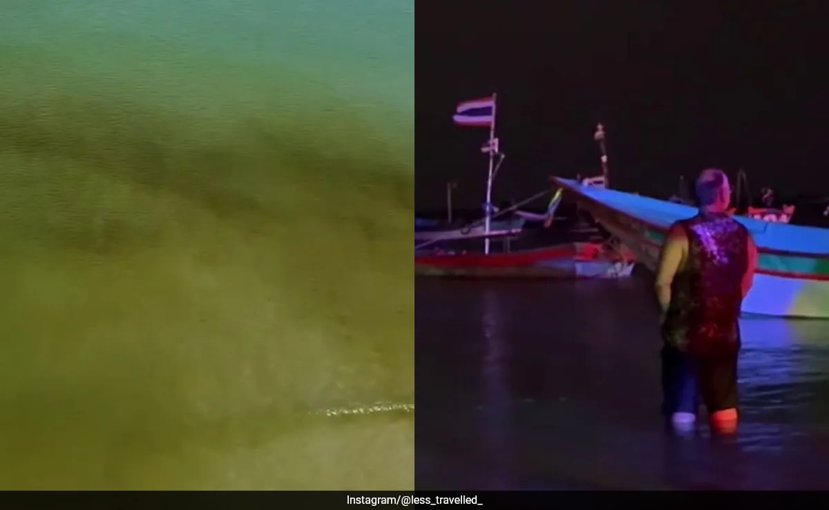 Viral: At Thailand's Full Moon Party Beach, Tourists Get A (Literal ...