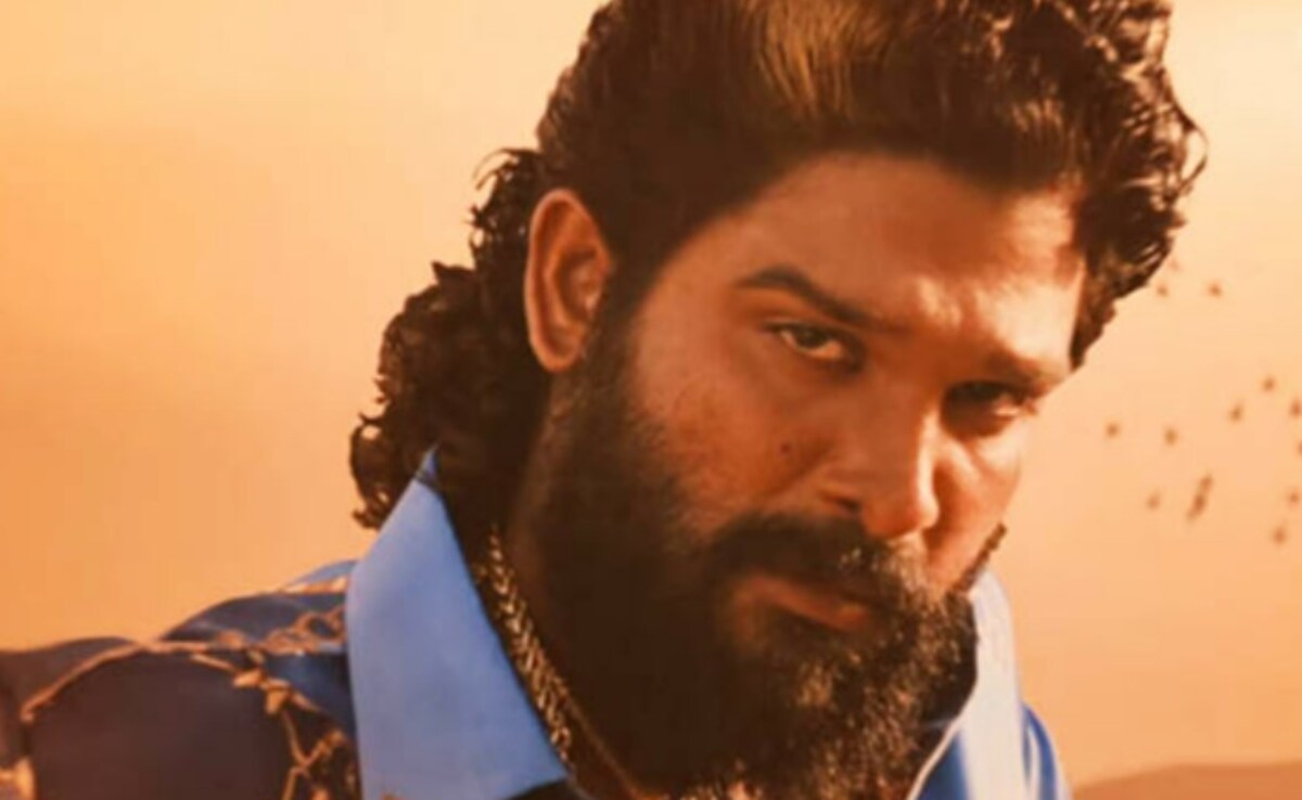 साउदी अरब में रिलीज करने से पहले काटा गया पुष्पा-2 का ये सीन, 19 मिनट ...