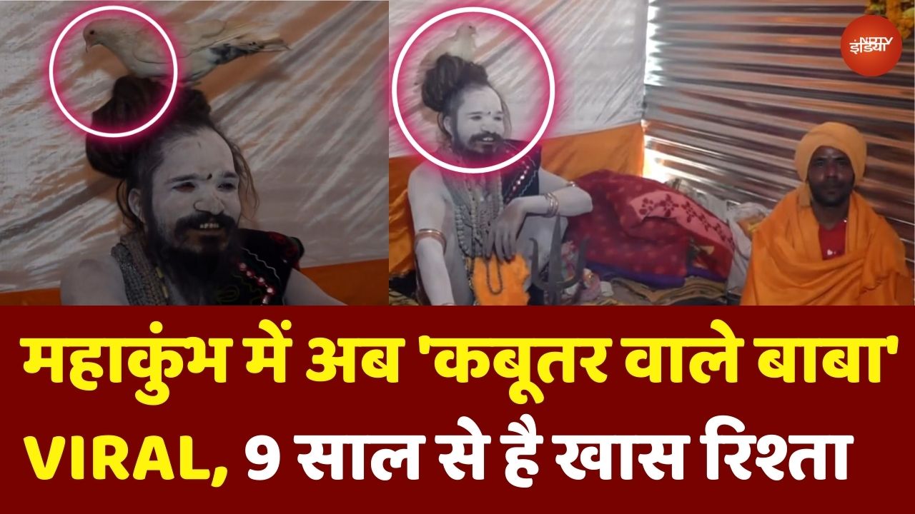 Maha Kumbh 2025: 'IIT Baba' के बाद अब 'Kabootar Wale Baba' VIRAL, देखें ...