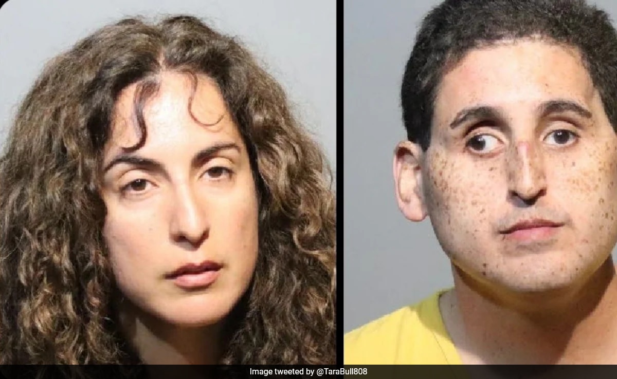 Children's Book Author And Husband Plead Guilty To Abusing Their ...