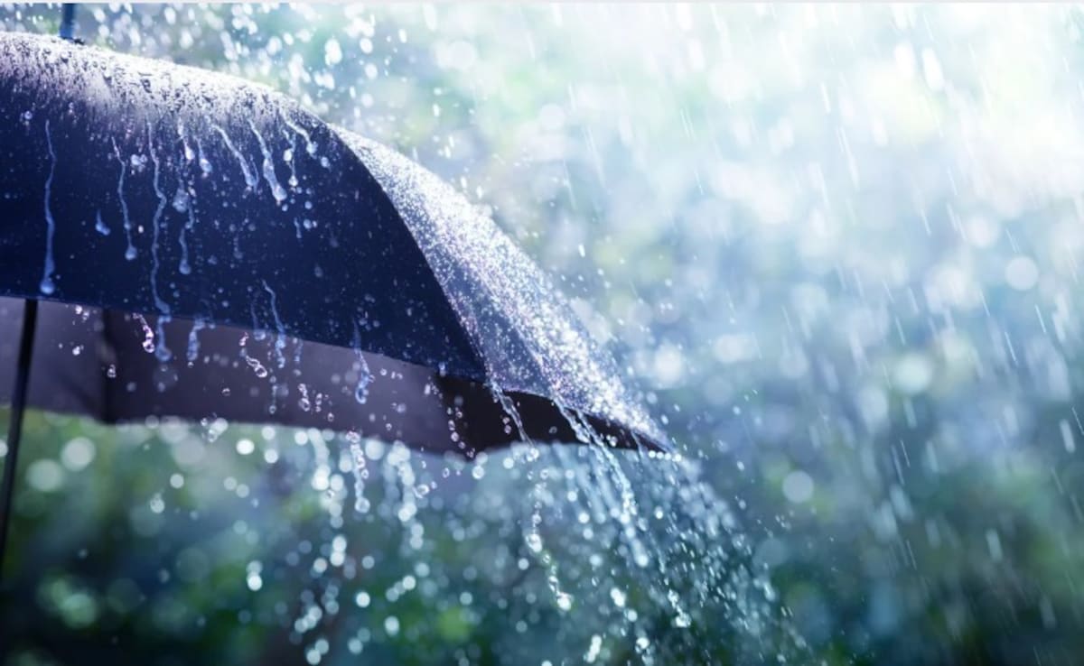 Maharashtra Rain Forecast Rain forecast from Meteorological Department ...