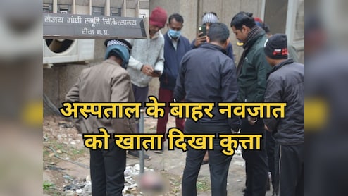 Rewa News in Hindi | रीवा समाचार | Rewa Hindi News - NDTV MPCG