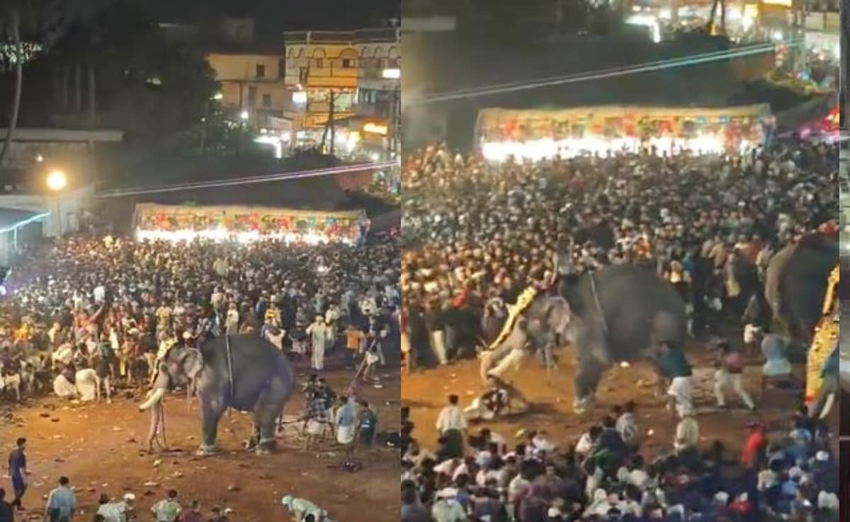 केरल में उत्सव के दौरान भड़क गया हाथी, लोगों को पटक-पटककर फेंका, देखें ...
