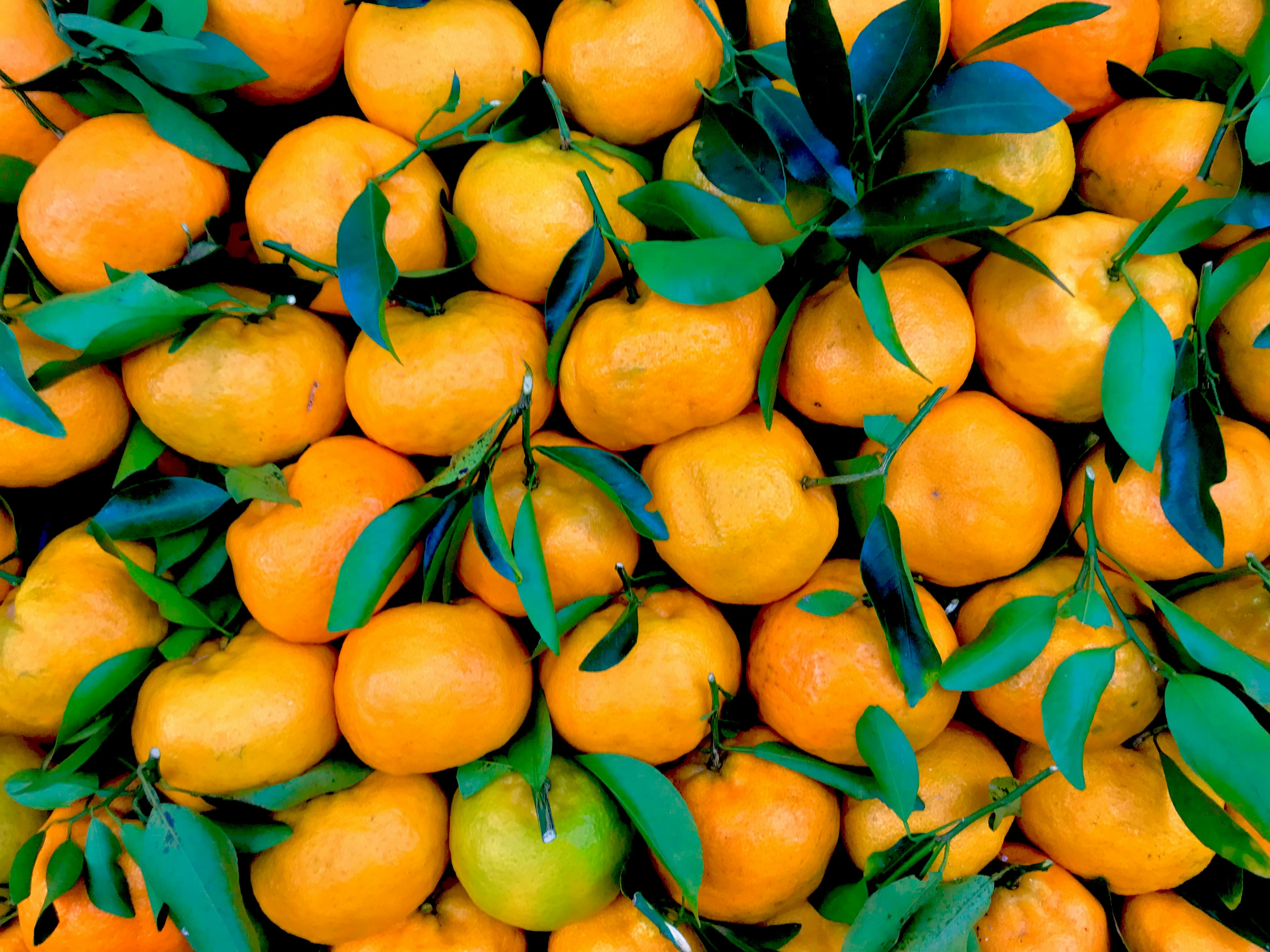 Here's How Oranges Can Help Improve Mood And Memory