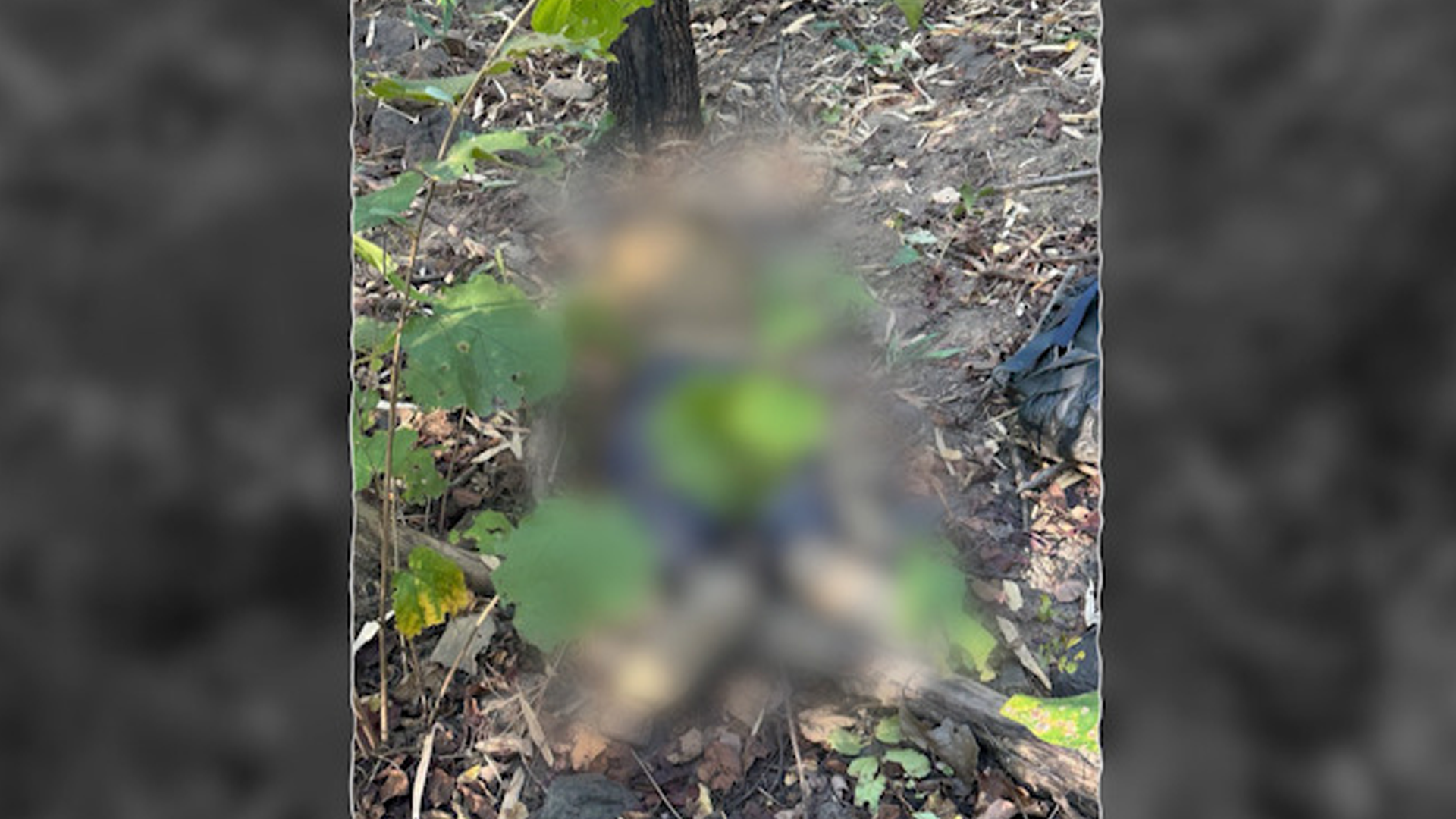 Maoist Carrying Rs 1 Crore Bounty Among 14 Killed In Chhattisgarh Encounter