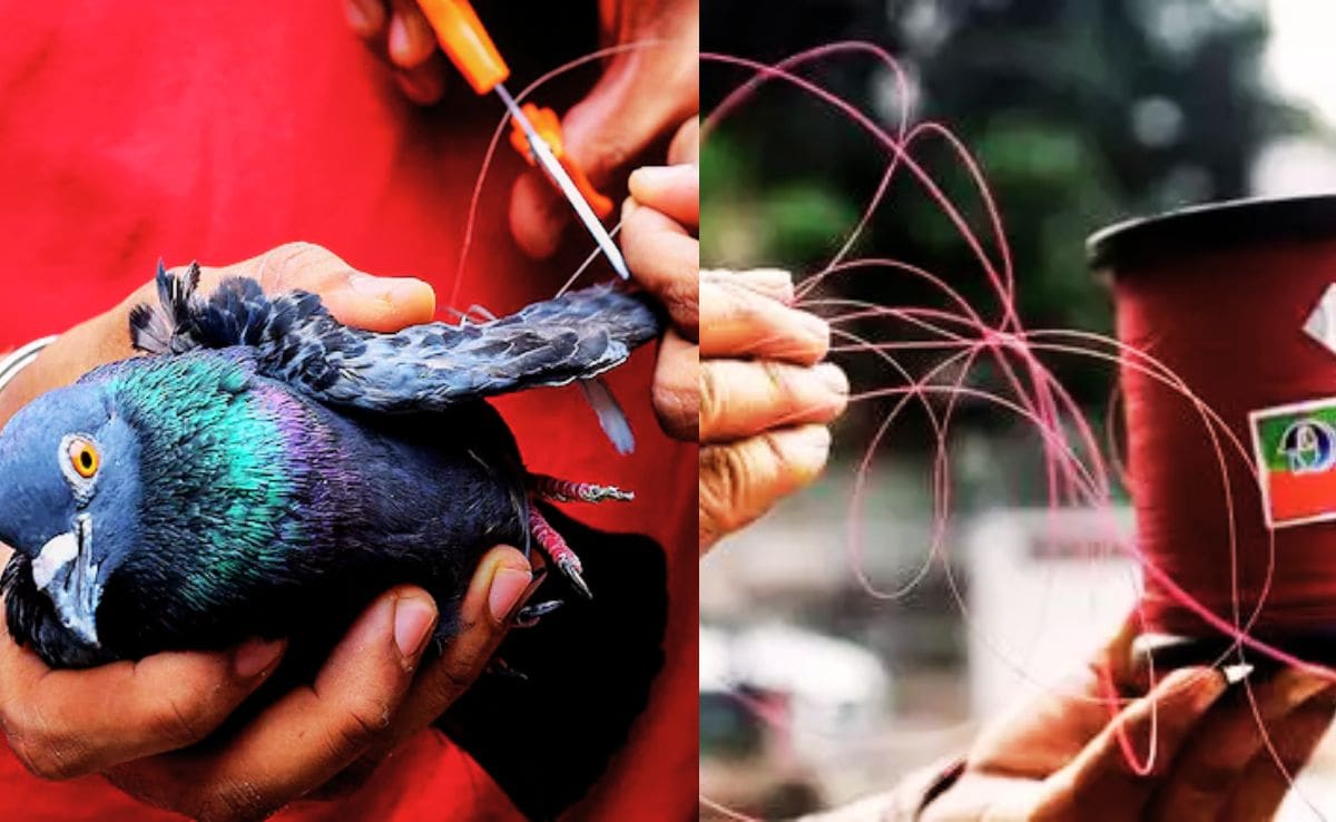 Electricity wires in Nandura broken due to nylon manja electricity ...