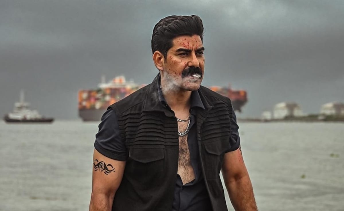 किल और एनिमल से भी ज्यादा वायलेंट फिल्म का बॉक्स ऑफिस पर तूफान, हीरो ही ...