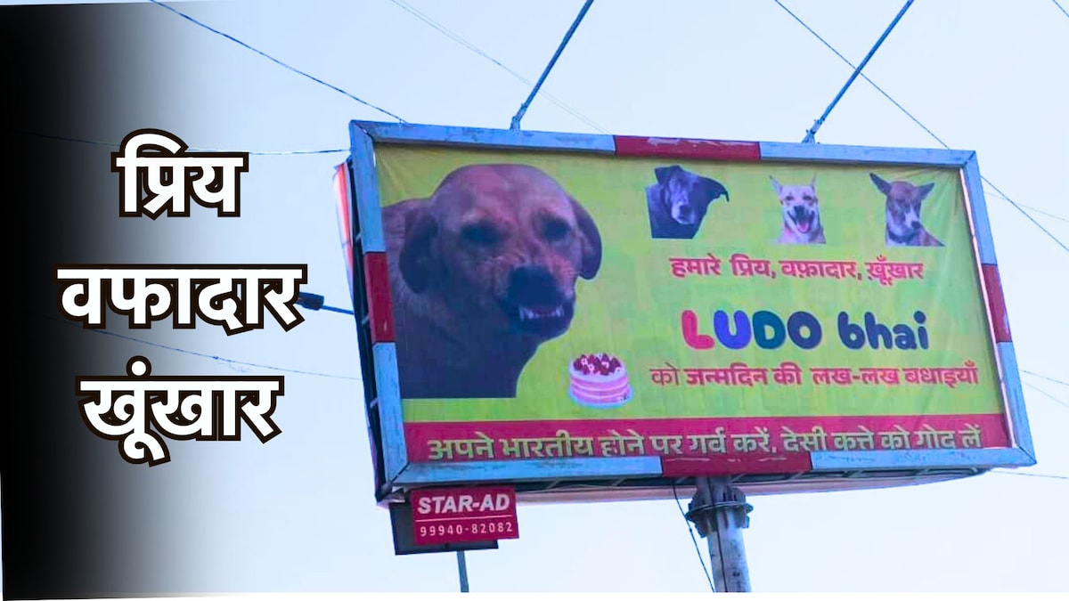 लूडो को लख-लख बधाइयां ! MP में मालिक ने कुत्ते को दी बधाई, सड़कों पर ...