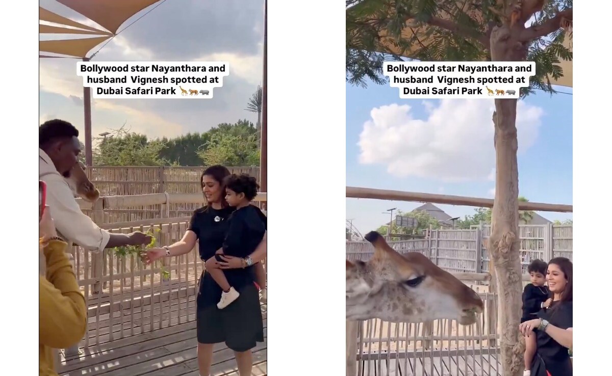 Things To Keep In Mind Before Planning A Trip To Dubai Safari Park Like ...