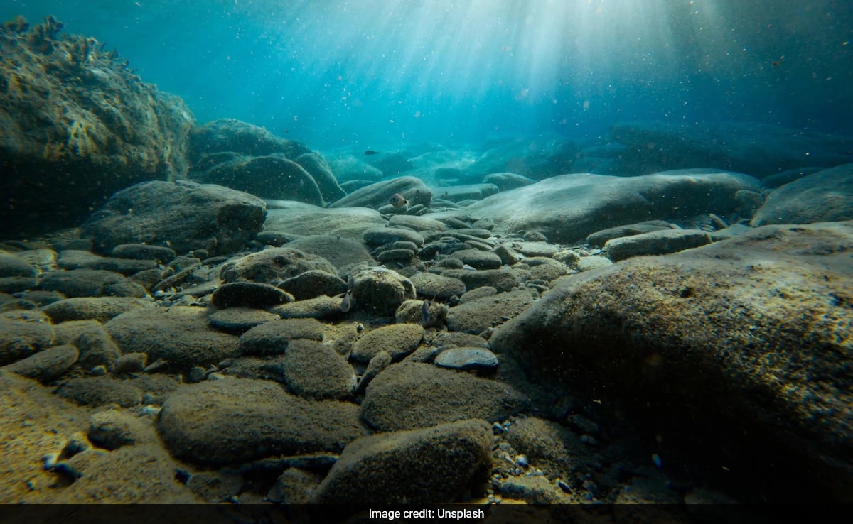 "Major Mystery": Scientists Discover "Sunken Worlds" Under Pacific Ocean