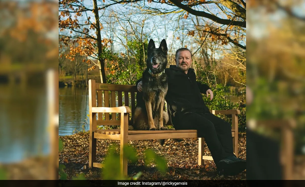 Ricky Gervais Mourns Loss Of 'After Life' Star Dog, Brandy, At Age 13