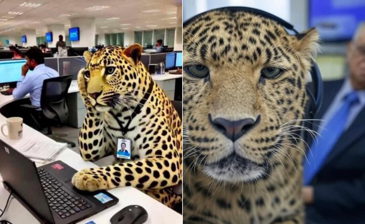 Infosys कैंपस में तेंदुए की एंट्री, 'जॉब' लगने की खबर ने वर्क कल्चर पर ...