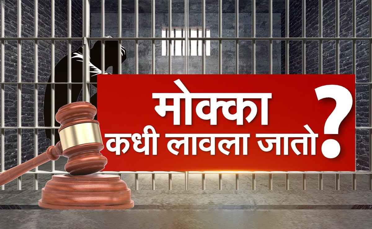 What Is Mcoca Act punishment Maharashtra Control Of Organied Crime Know ...