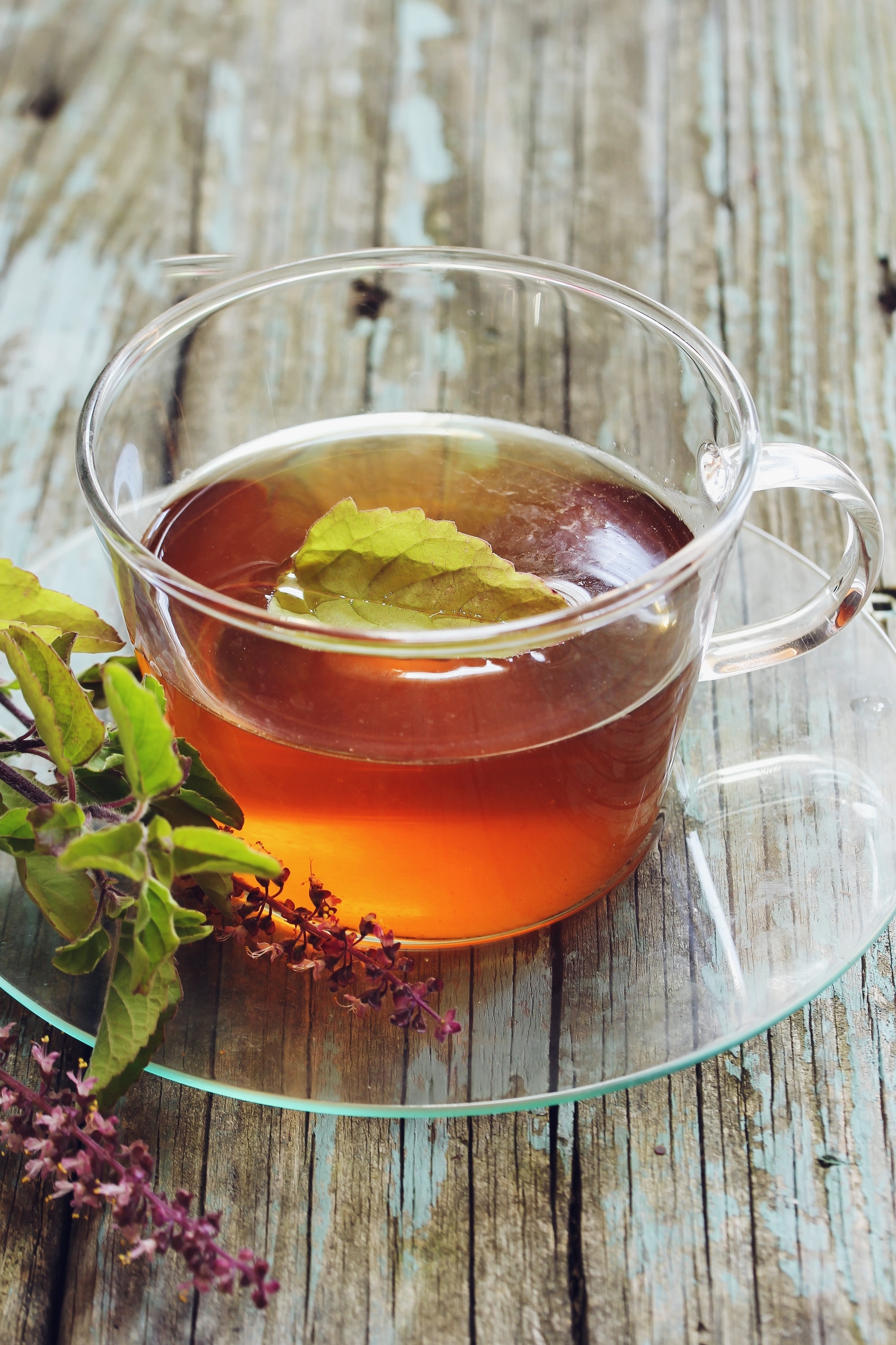 Tulsi-Ginger Tea: Natural Weight Loss Drink You Need