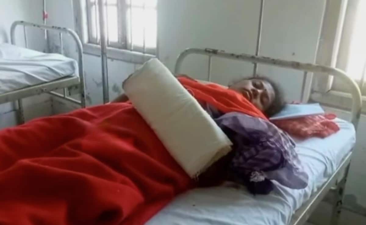 7 Women Tea Estate Workers Injured In Elephant Attack In Assam