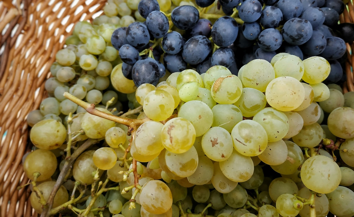 अंगूर के साथ भूलकर भी न खाएं ये चीजें, बाद में पड़ सकता है पछताना | Do Not Eat These Things With ...