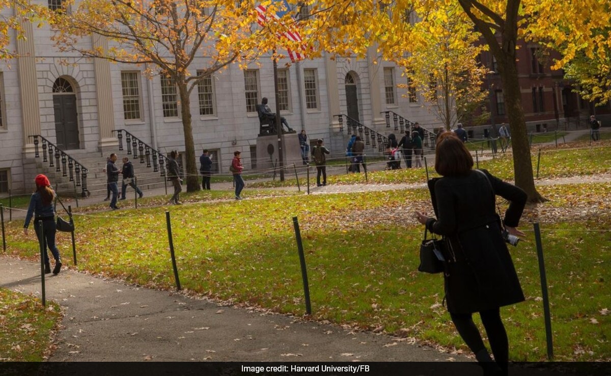 Study Abroad: How To Get Into Harvard University? Key Admission Details