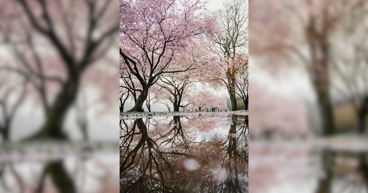 Best Destinations To Visit In Spring