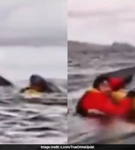man eaten by whale kayak