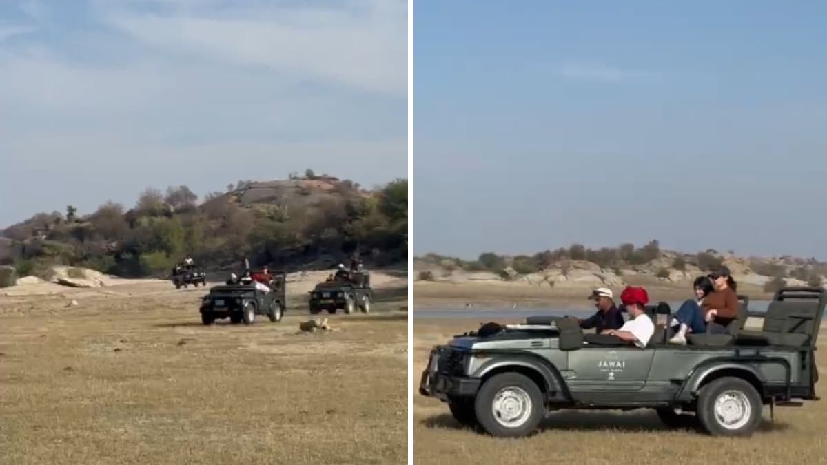 परिवार संग छुट्टियां बिताने लेपर्ड कंजर्वेशन पहुंचे अक्षय कुमार, सफारी ...