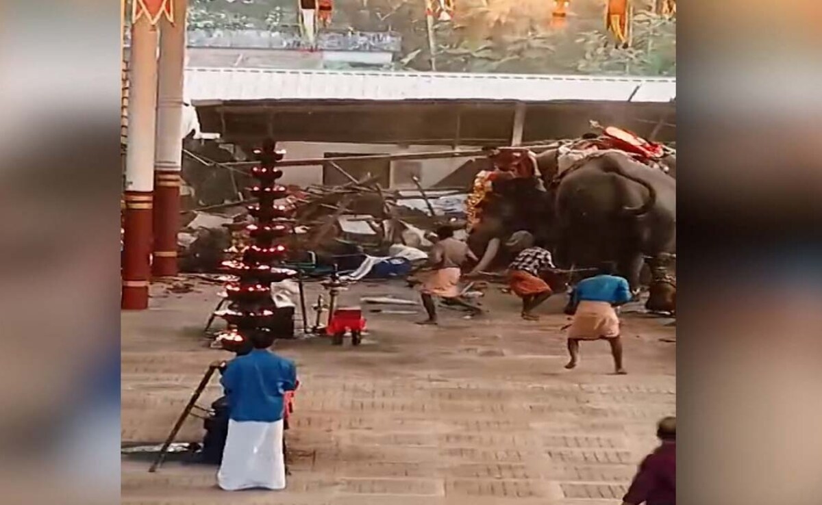 elephant attack manorama