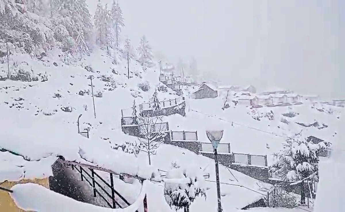 What Causes Avalanches And How To Stay Safe