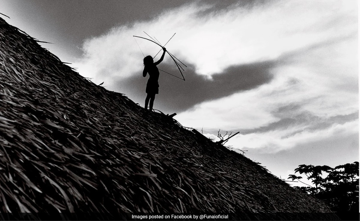Isolated Indigenous Man Leaves Amazon Forest, Returns In 24 Hours