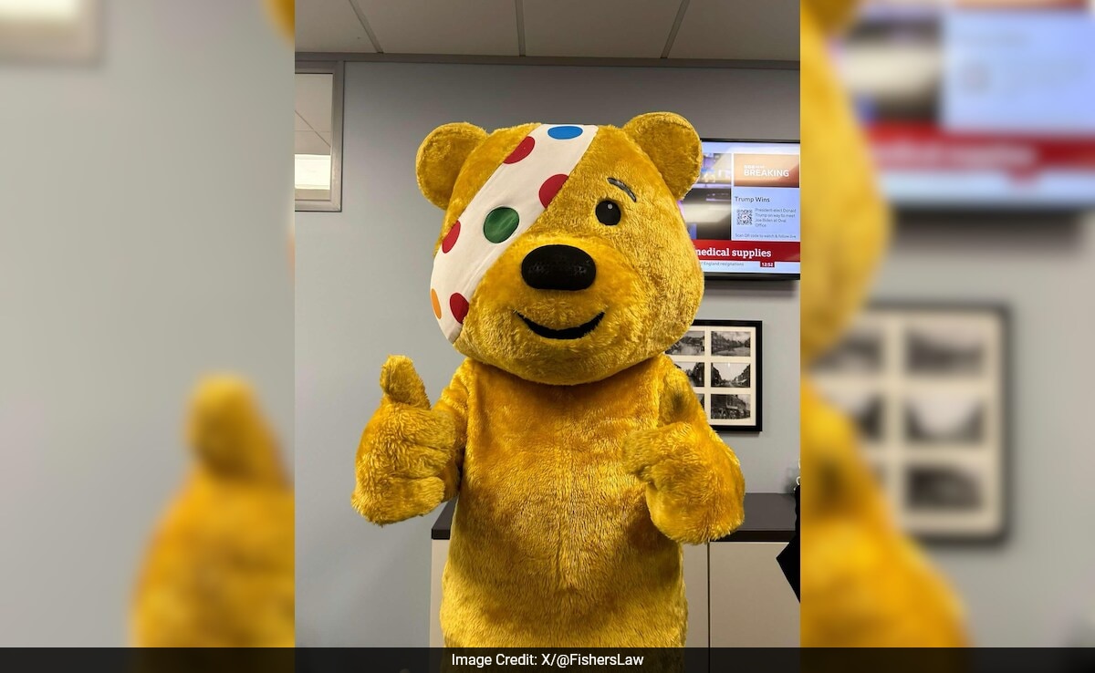Picture Pudsey Bear