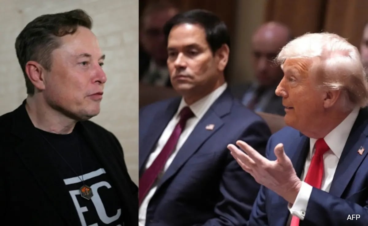 Donald Trump On Elon Musk-Marco Rubio Clash: They Get Along ...