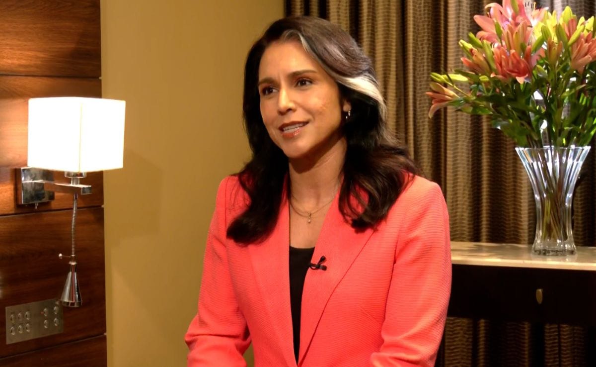 Tulsi Gabbard's Intelligence Task Force Accused Of "Witch Hunt"