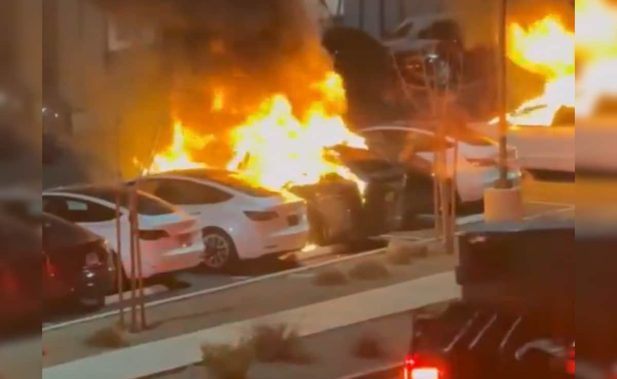 Elon Musk Blames "Trans People" For Tesla Vandalism