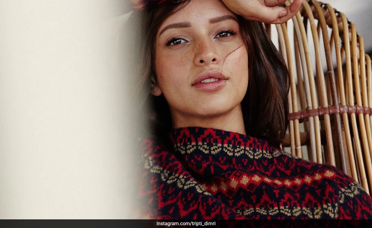 Triptii Dimri Sets Beauty Goals With Her Shimmery Plum Eyes, Freckles ...