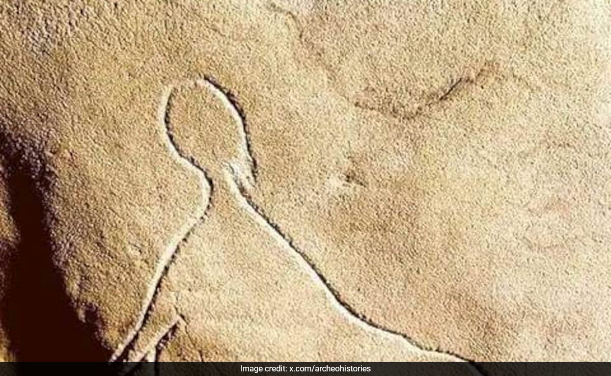 Rare Glimpse Inside French Cave Reveals Stunning Prehistoric Art