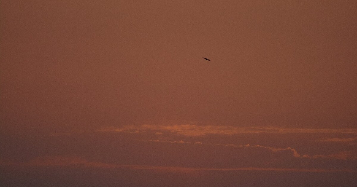 24 मार्च AQI: नरेला में आज सबसे ज्यादा प्रदूषण