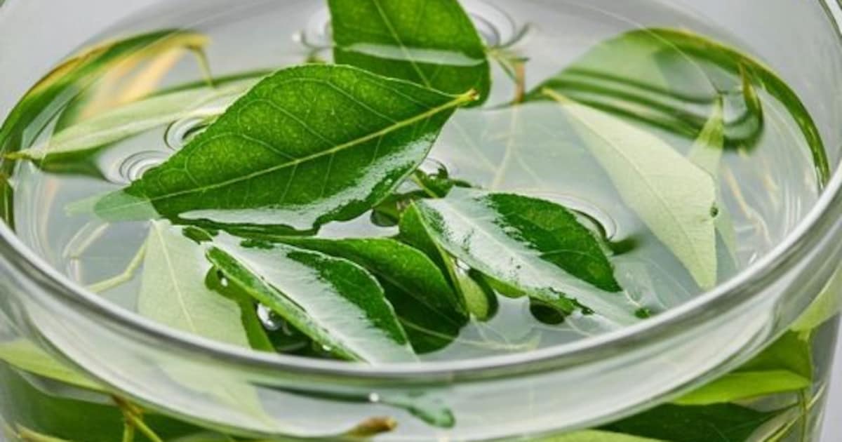 Health-Boosting Benefits Of Curry Leaves Water