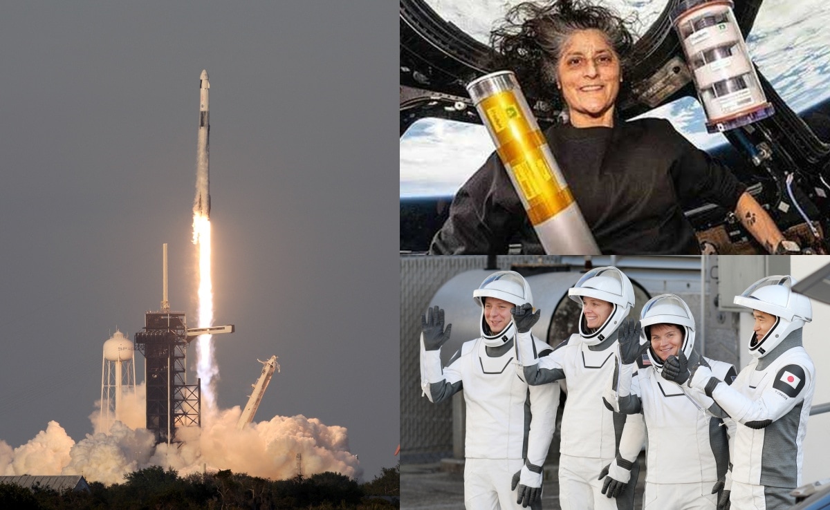 Spacex-NASA ISS Mission Sunita Williams and Butch Wilmore are returning ...