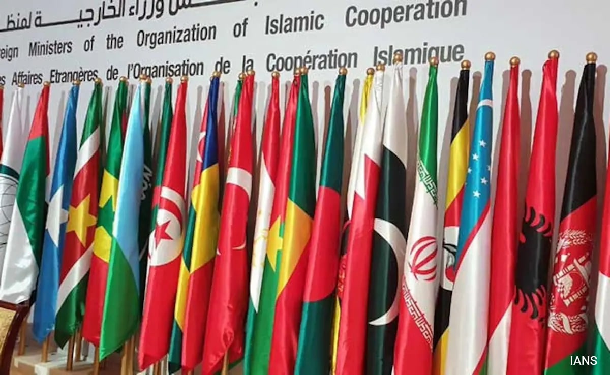 Syria's Membership In Organisation Of Islamic Cooperation Reinstated
