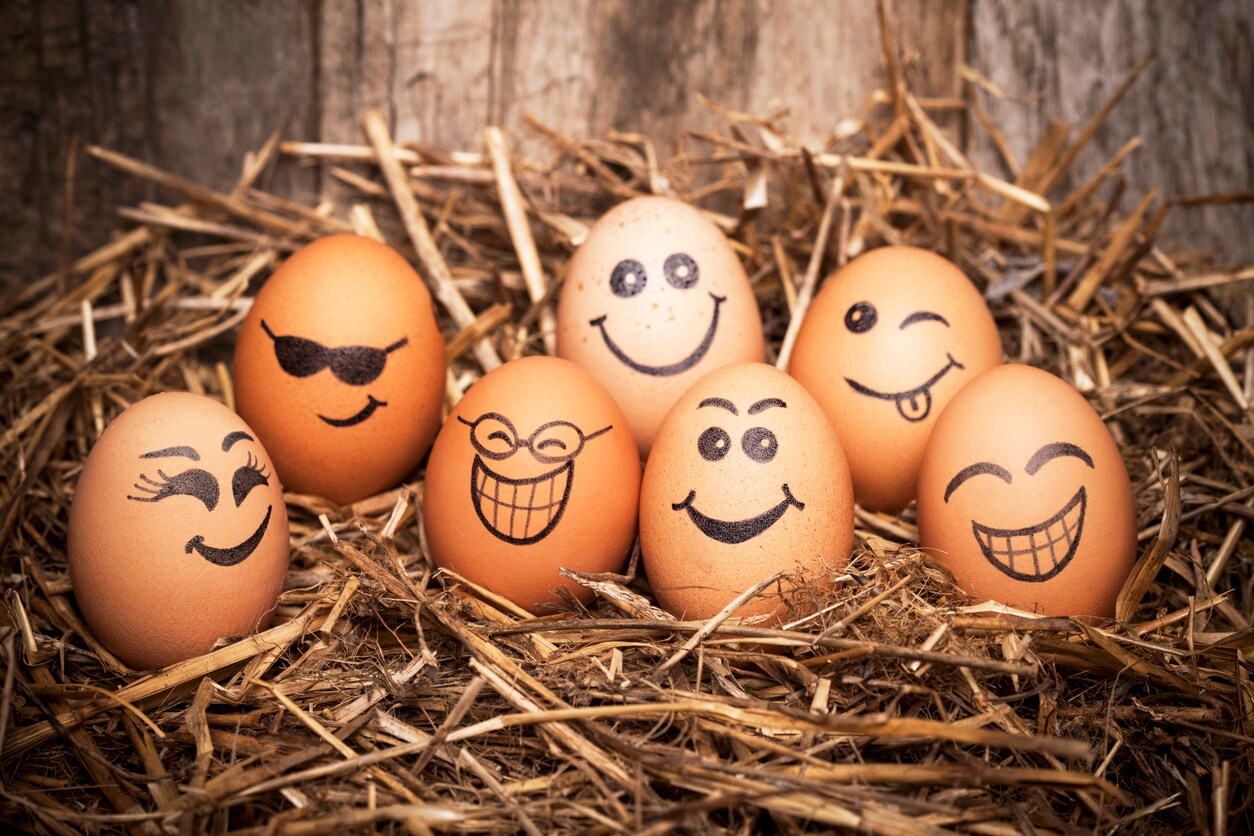 Funny Side Up | Funny articles | Finding Humour in Food