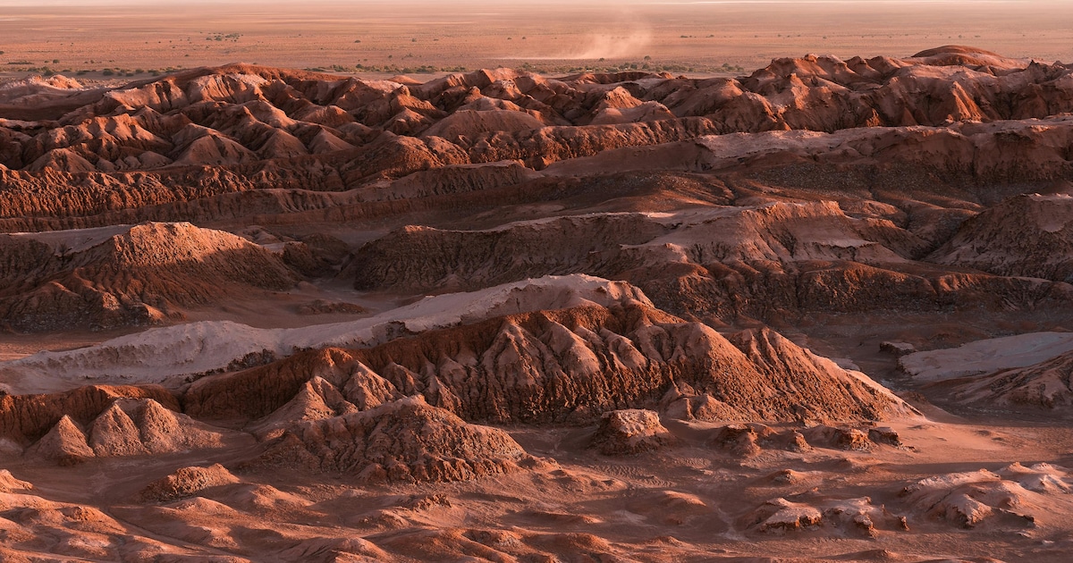 Atacama Desert: The Driest Place On Earth