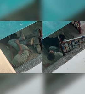 pitbull attacks 2025