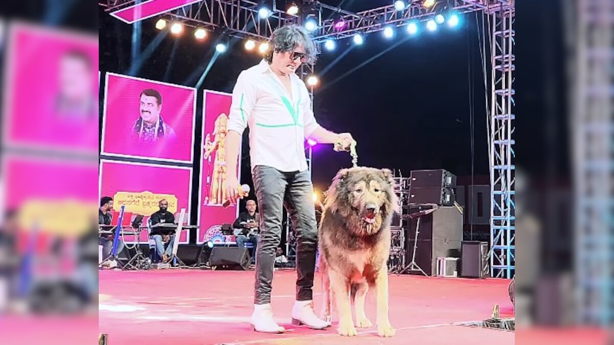 50 करोड़ का कुत्ता! बेंगलुरु के सतीश का अमेरिका में अनोखे डॉग पर रीझा ...