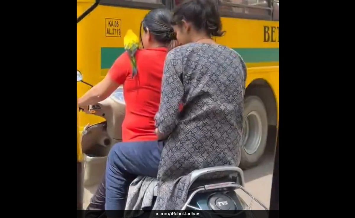 Woman Rides Helmetless With Parrot, Video Goes Viral: "Never A Dull ...