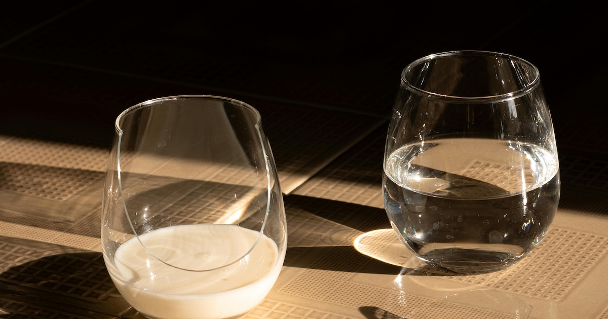 Is Milk More Hydrating Than Water?